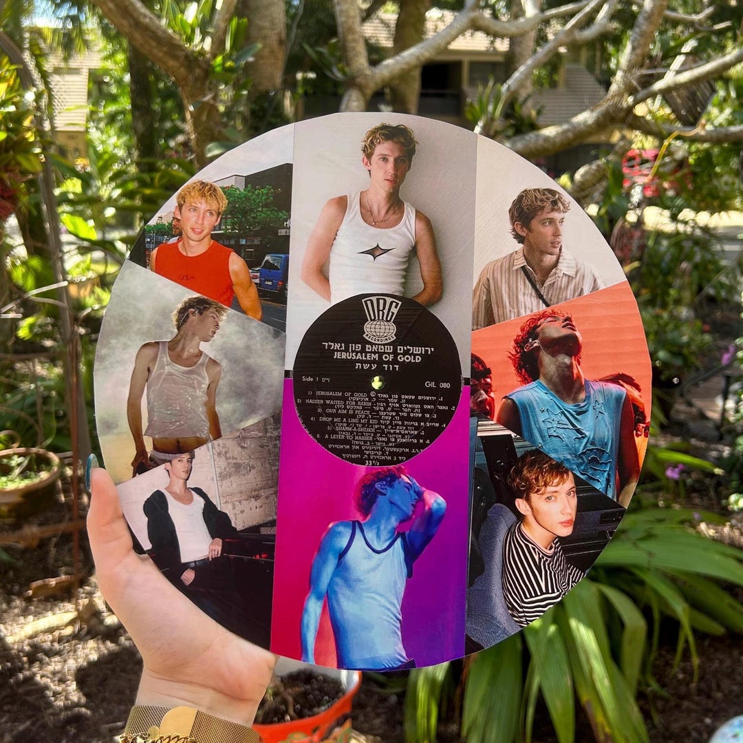 Troye Sivan Vinyl Collage - Etsy