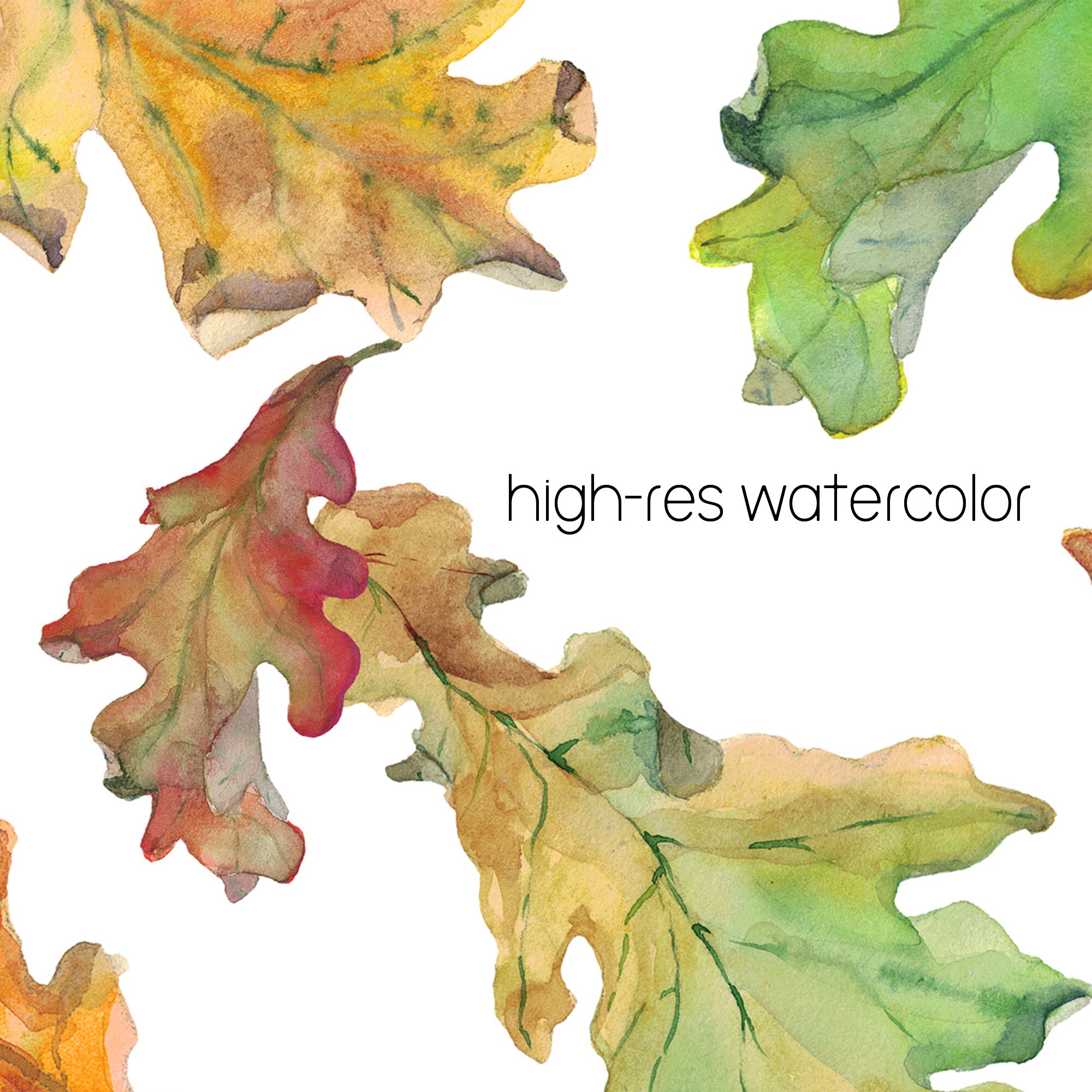 Watercolor Autumn Leaves Branches Clipart/ Digital Download Frames ...