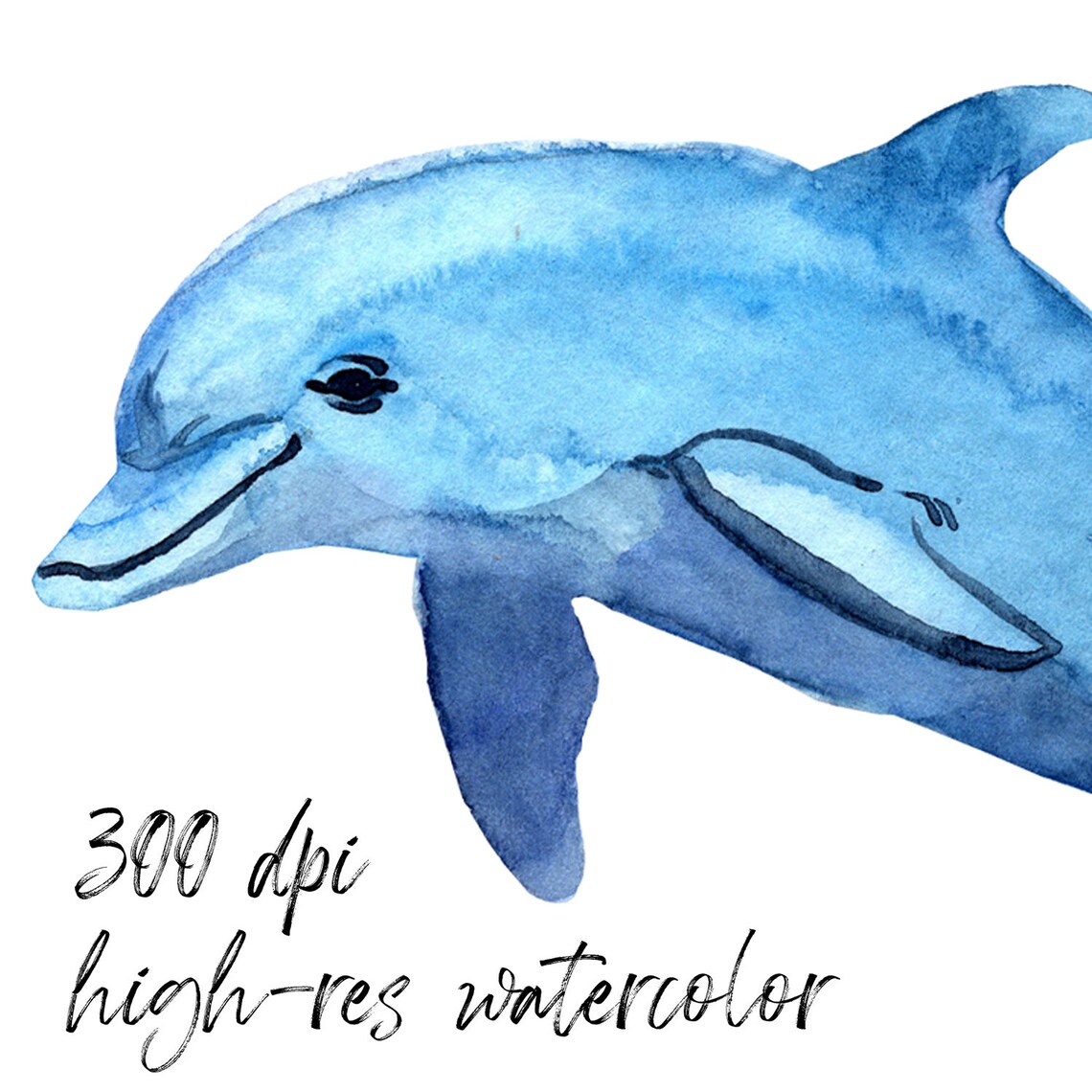 Watercolor Dolphins in Circle Birthday Frame/dolphin on Greeting Card ...