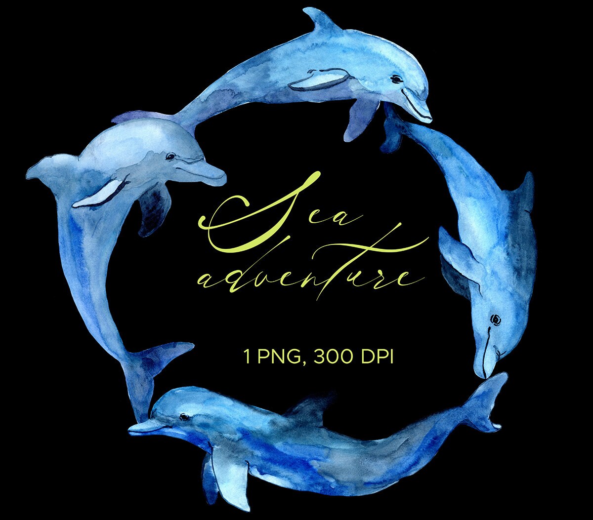 Watercolor Dolphins in Circle Birthday Frame/dolphin on Greeting Card ...