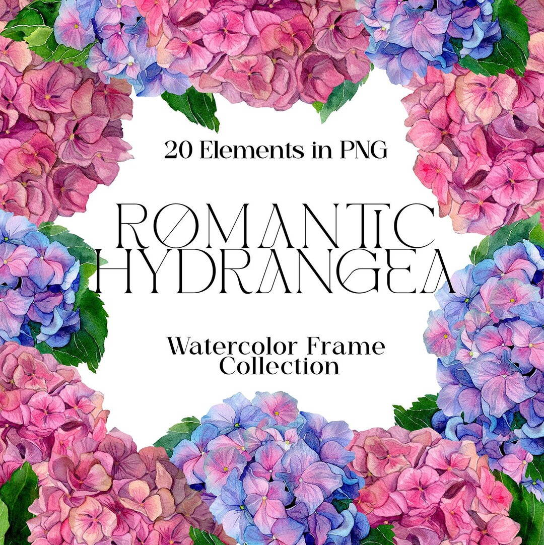 Romantic Hydrangea Frames Collection/ 20 Decorative Elements and ...