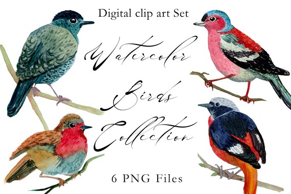Watercolor Handpainted Birds Clipart Watercolor Animals - Etsy