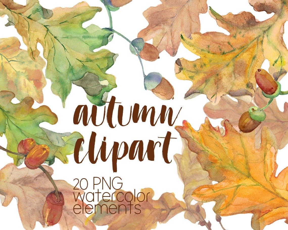 Watercolor Autumn Fall Clipart. Hand Painted Oak Leaves, Acorns. 20 PNG ...