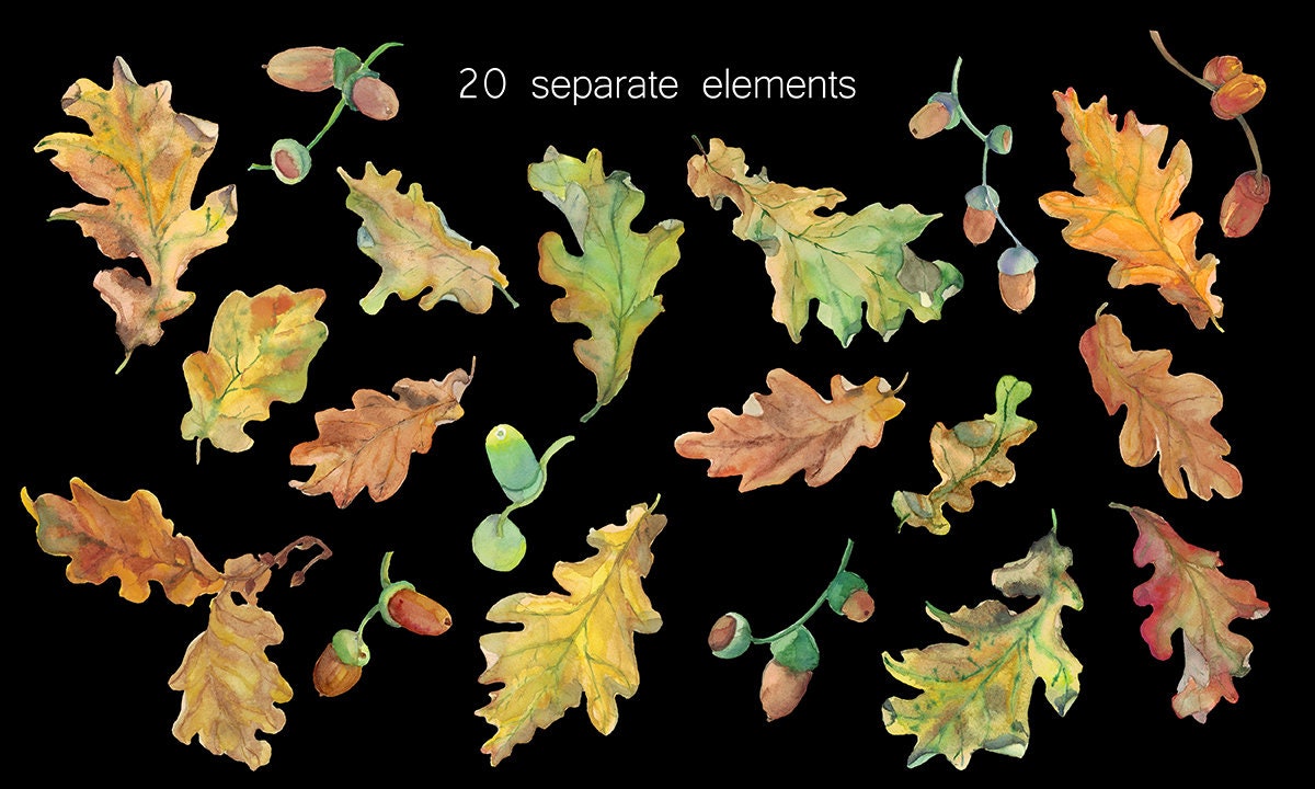 Watercolor Autumn Fall Clipart. Hand Painted Oak Leaves, Acorns. 20 PNG ...