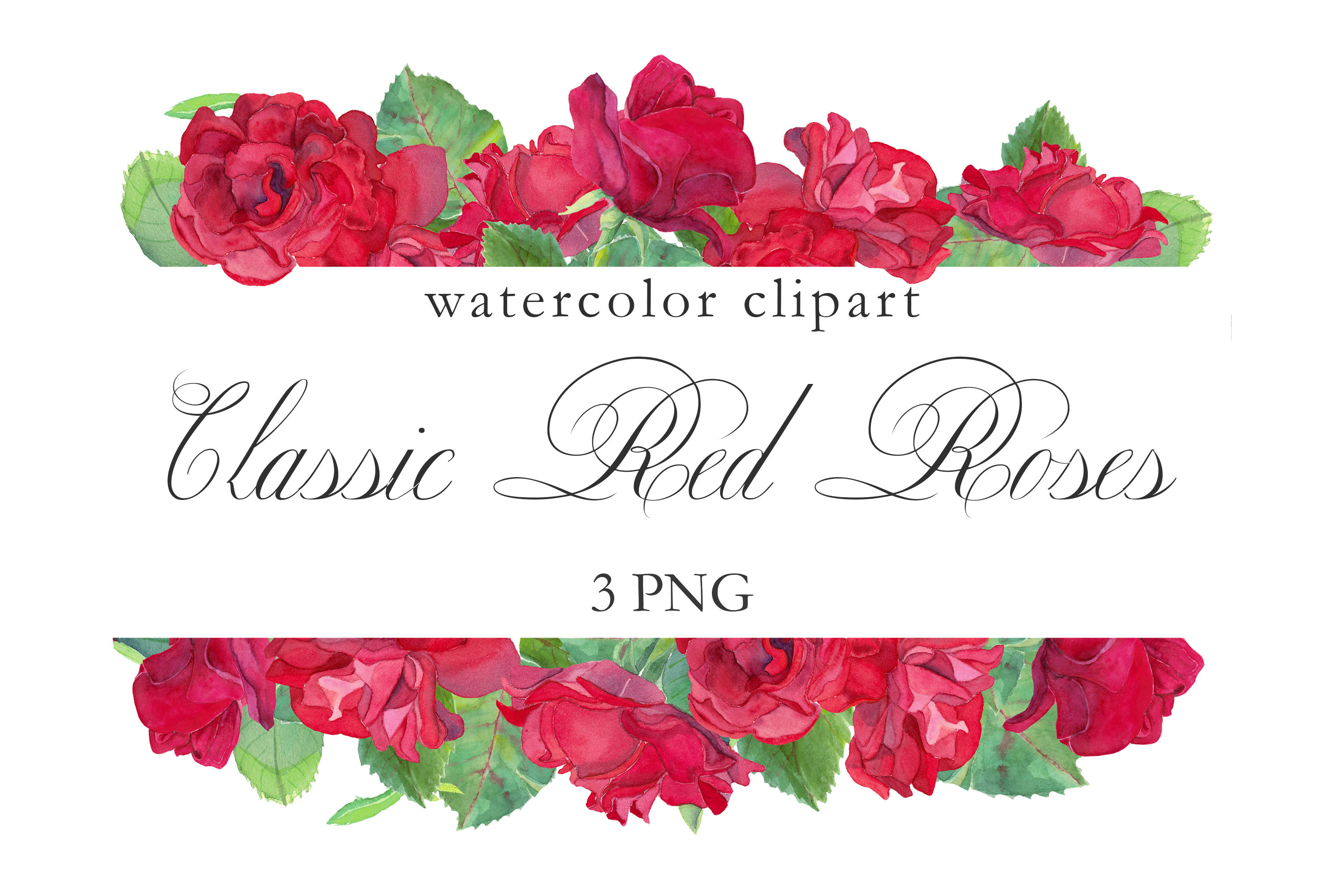 Classic Red Roses Watercolor Frames Clipart, Red Rose Wreath, Floral ...
