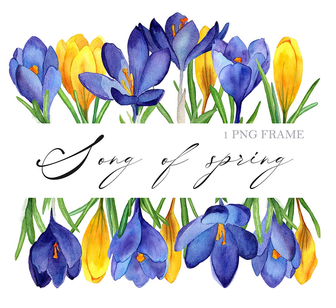 Watercolor Spring Frame of Crocuses Clip Art/ Flower Clipart / Season ...
