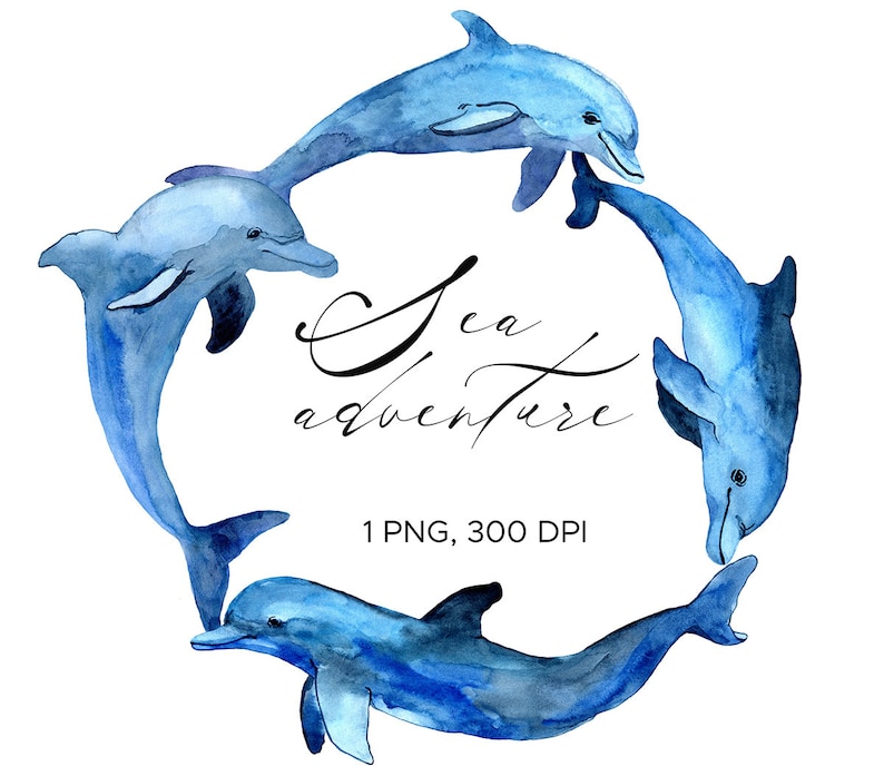 Watercolor Dolphins in Circle Birthday Frame/dolphin on Greeting Card ...
