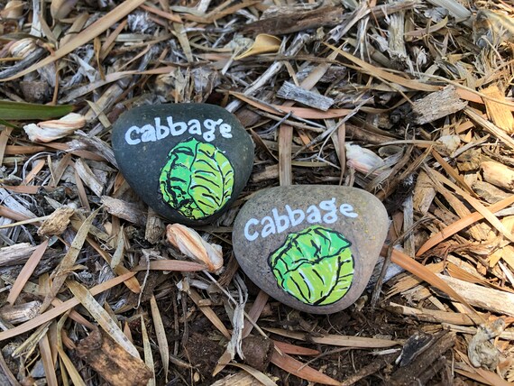Cabbage Hand Painted Garden Plant Markers | Etsy
