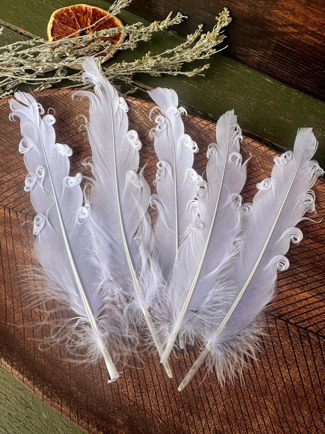 Goose Feather for Smudging | Naturally Molted Ritual Feather | Cruelty ...