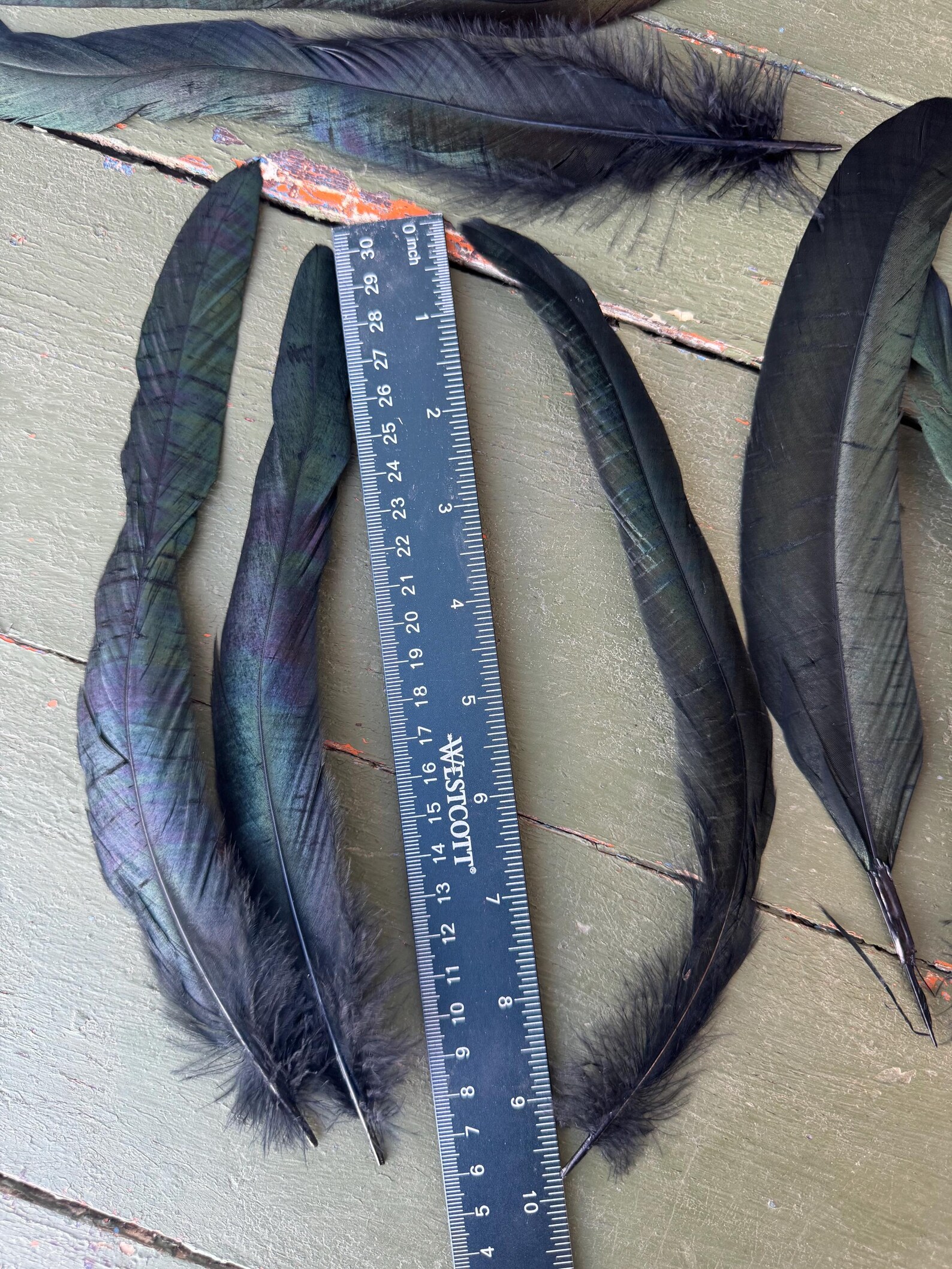 Crow Feathers, Smudging, Altar Tool - Etsy