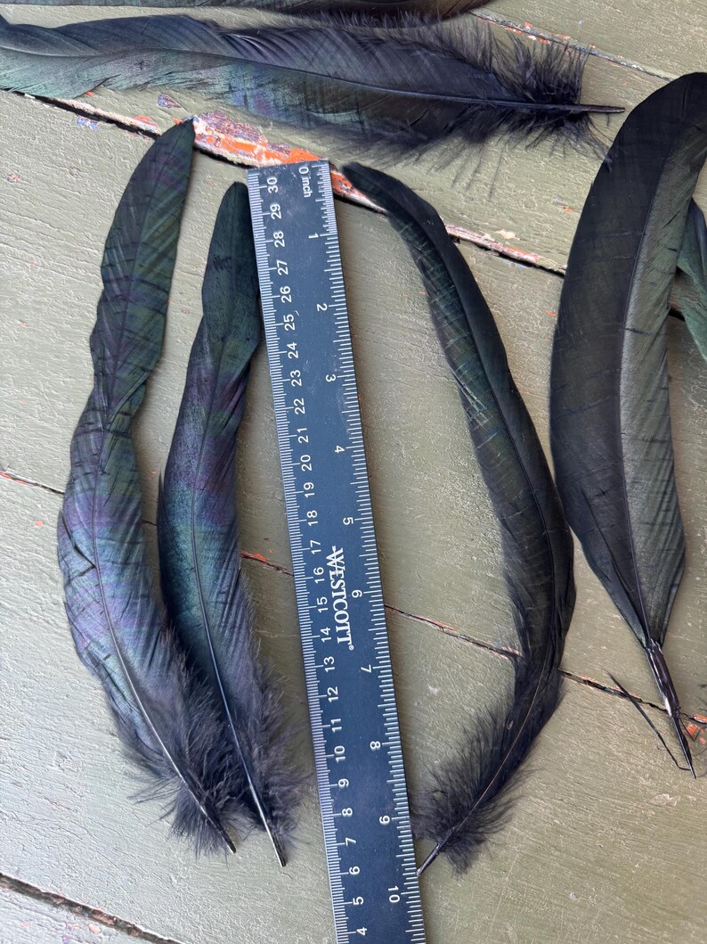 Crow Feathers, Smudging, Altar Tool - Etsy