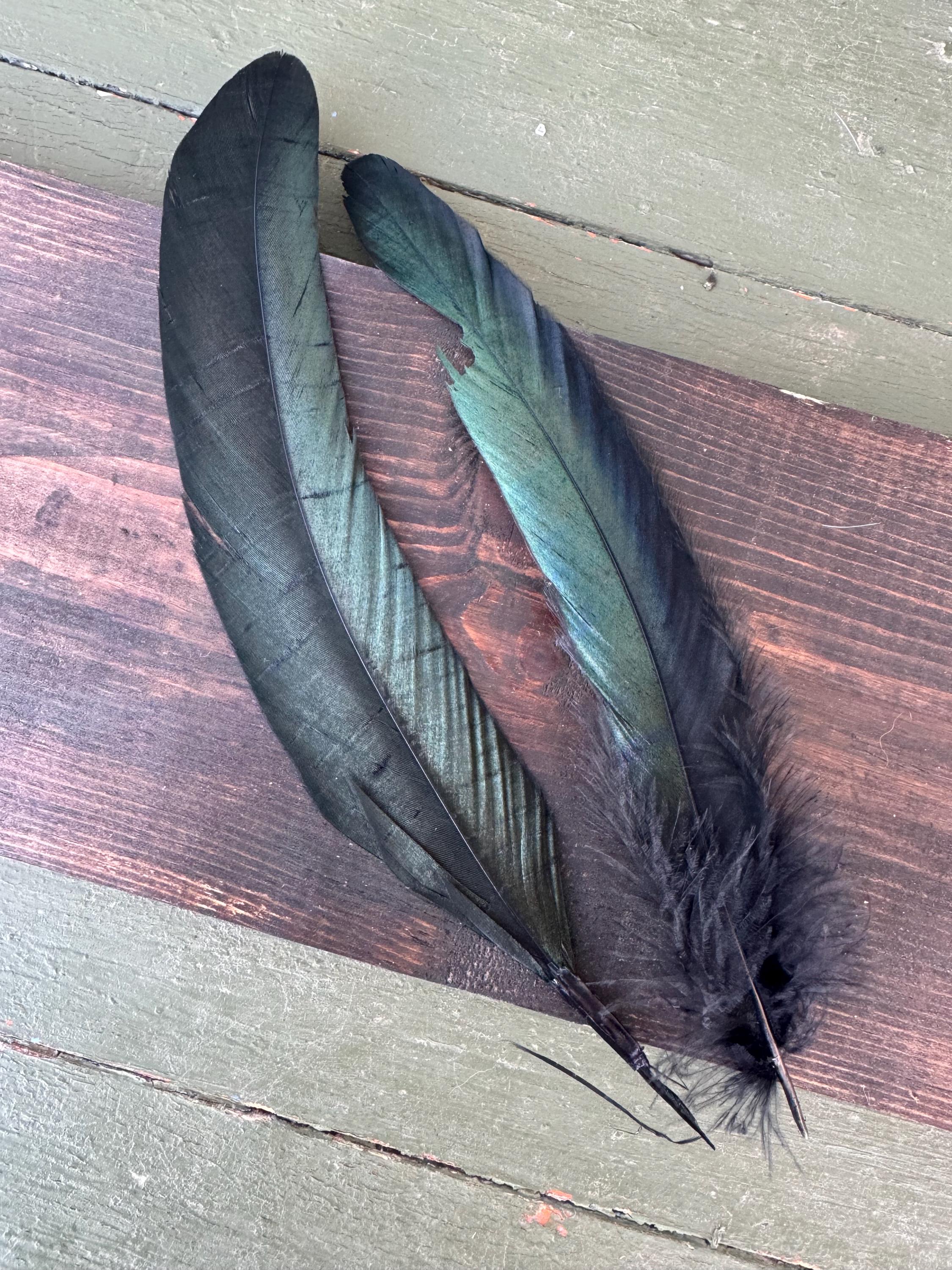 Crow Feathers, Smudging, Altar Tool - Etsy