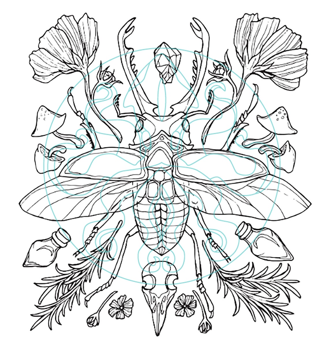 Printable Coloring Page - Beetle and Other Natural Elements - Etsy