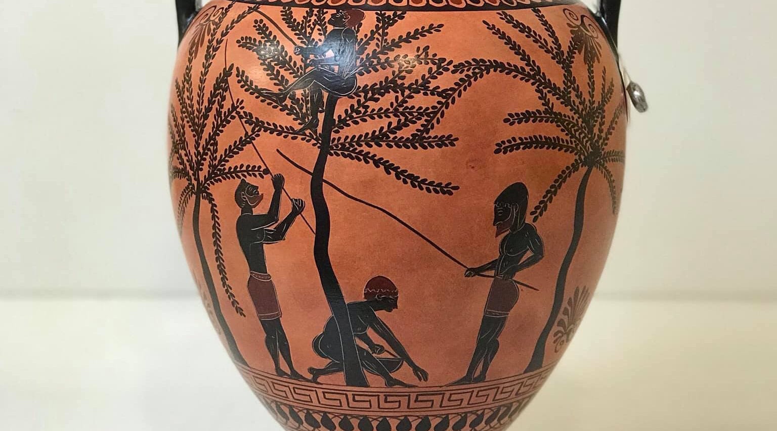 Greek Pottery, Hand Made Replica, Black Figure Amphora, the Olive ...