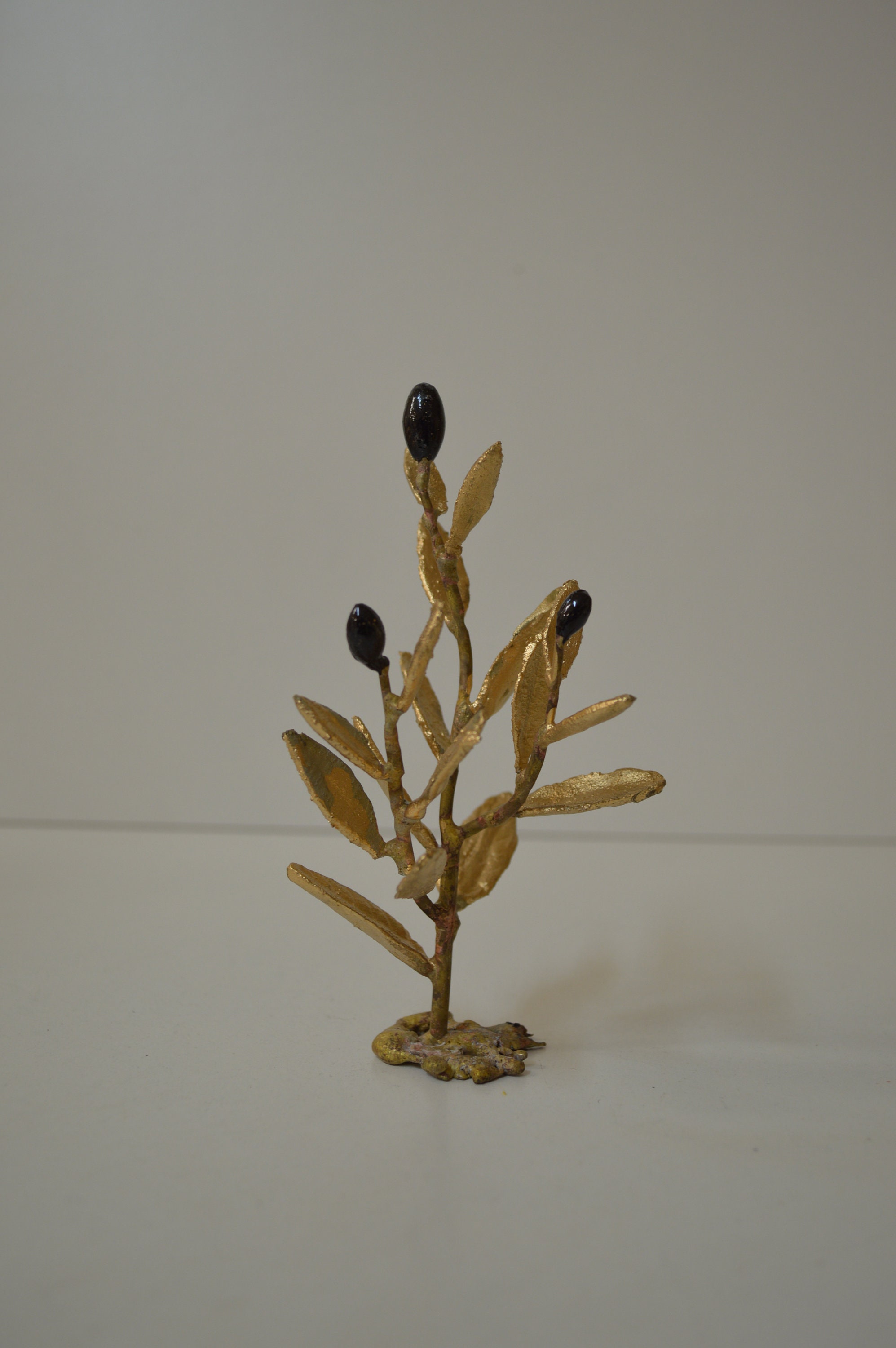Gold Baby Olive Tree - Etsy