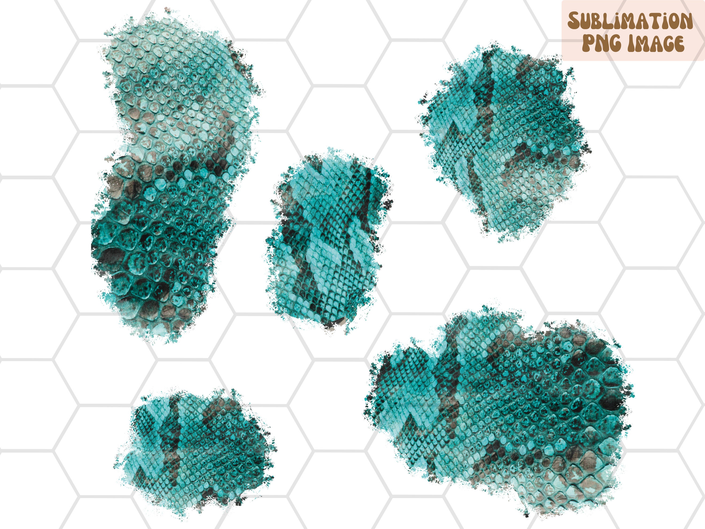 Turquoise Snake Skin Patches PNG | Sublimation Patches | Bleach Shirt ...