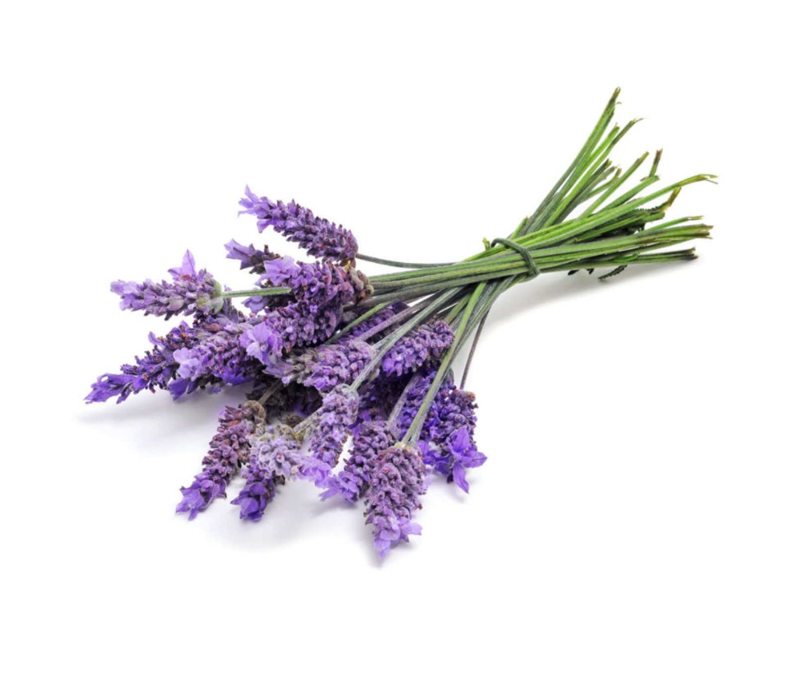 Lavender Pure Essential Oil Aromatherapy Diffuser - Etsy