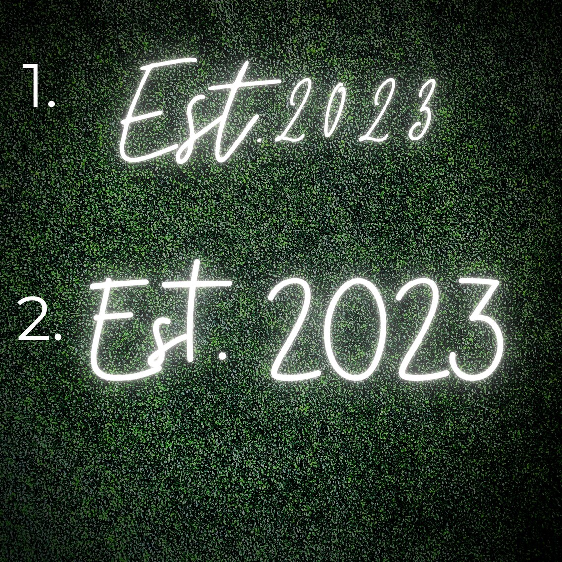 Est. 2023 Neon Sign, Premium Quality Cool to Touch, Custom Neon Sign ...
