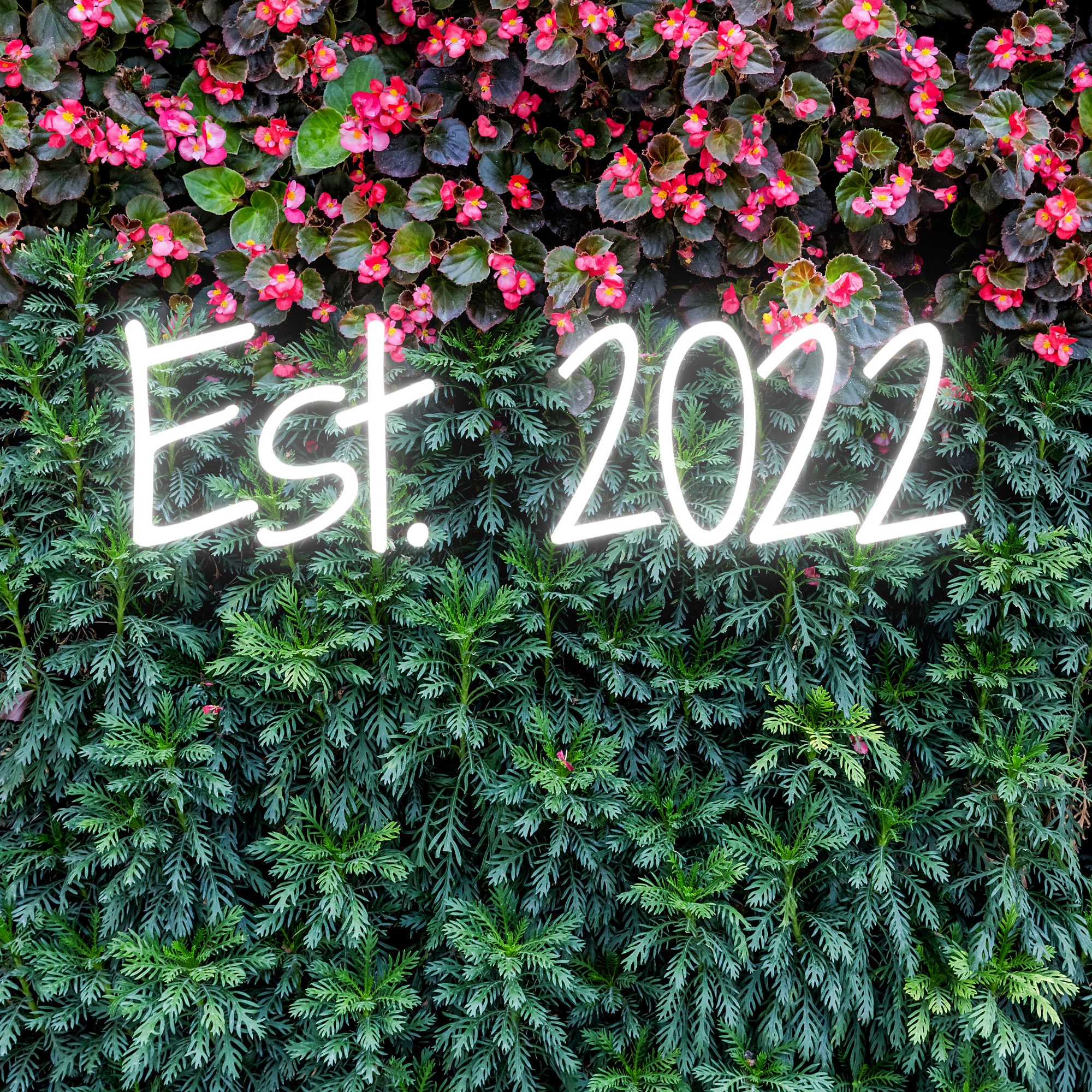 EST. 2022 Neon Sign, Premium Quality Cool Touch, Custom Neon Sign ...