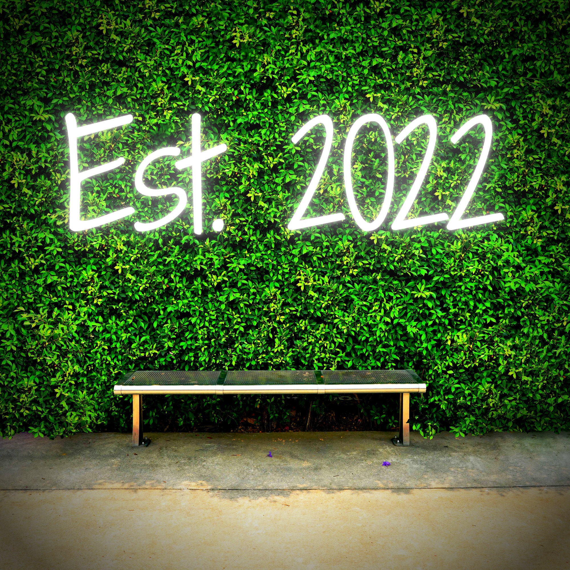 EST. 2022 Neon Sign, Premium Quality Cool Touch, Custom Neon Sign ...