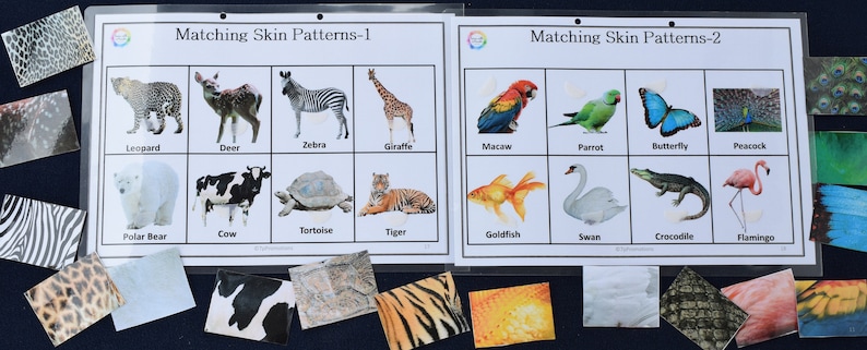 Animal Skin Pattern Worksheets Visual Discrimination | Etsy