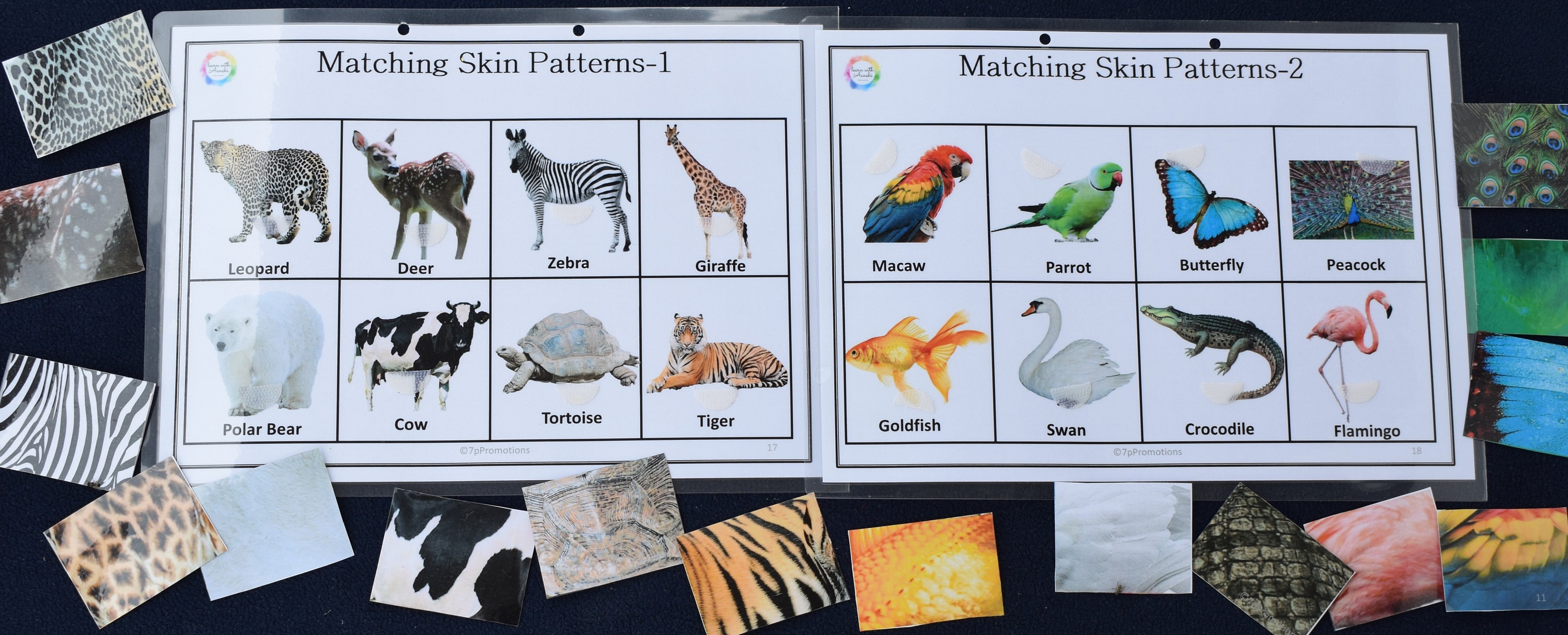 Animal Skin Pattern Worksheets | Visual Diffrence | Toddlers ...