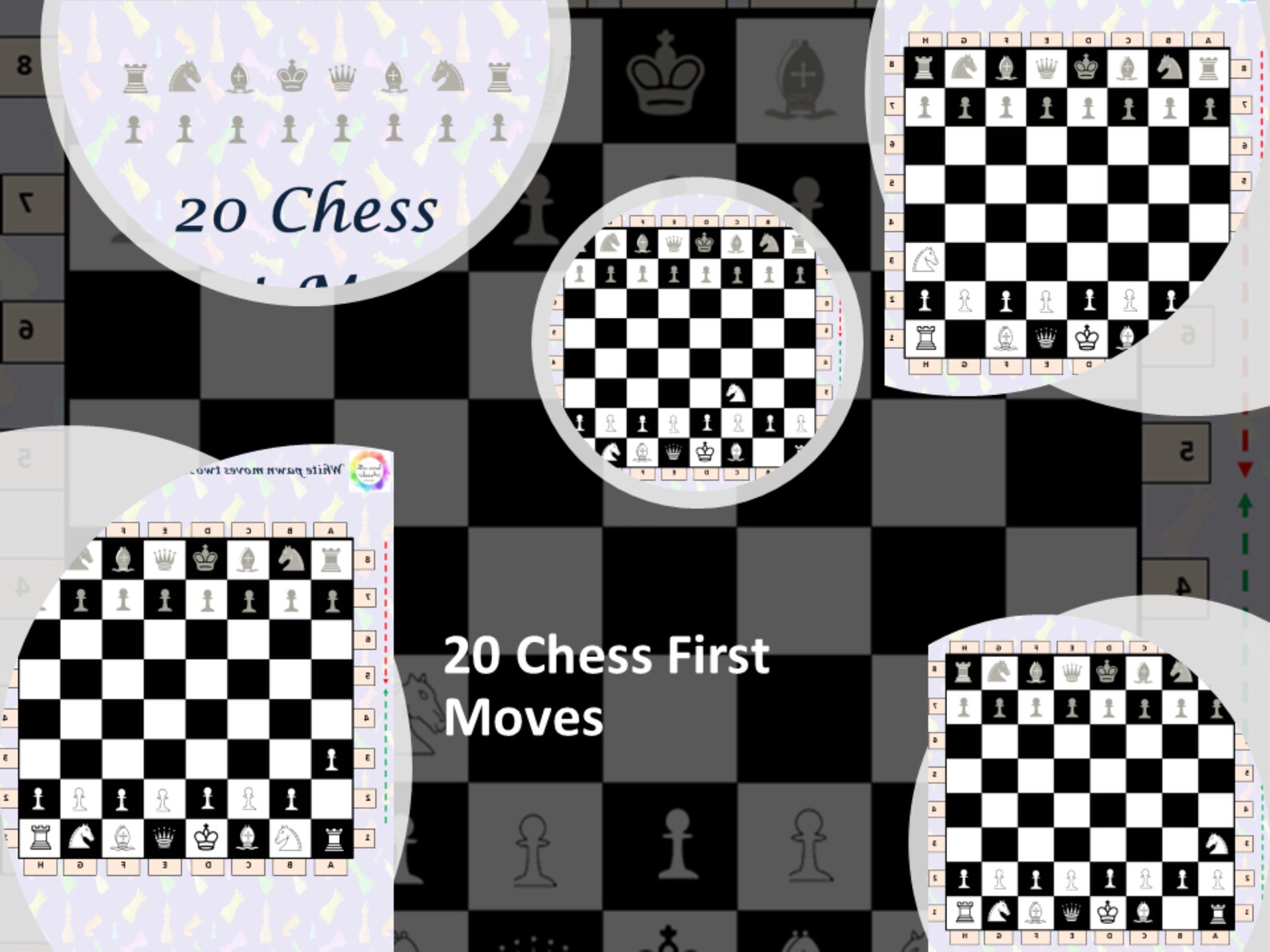 Chess Printables, Chess Basics, Learn Chess, Chess for Kids, Chess ...