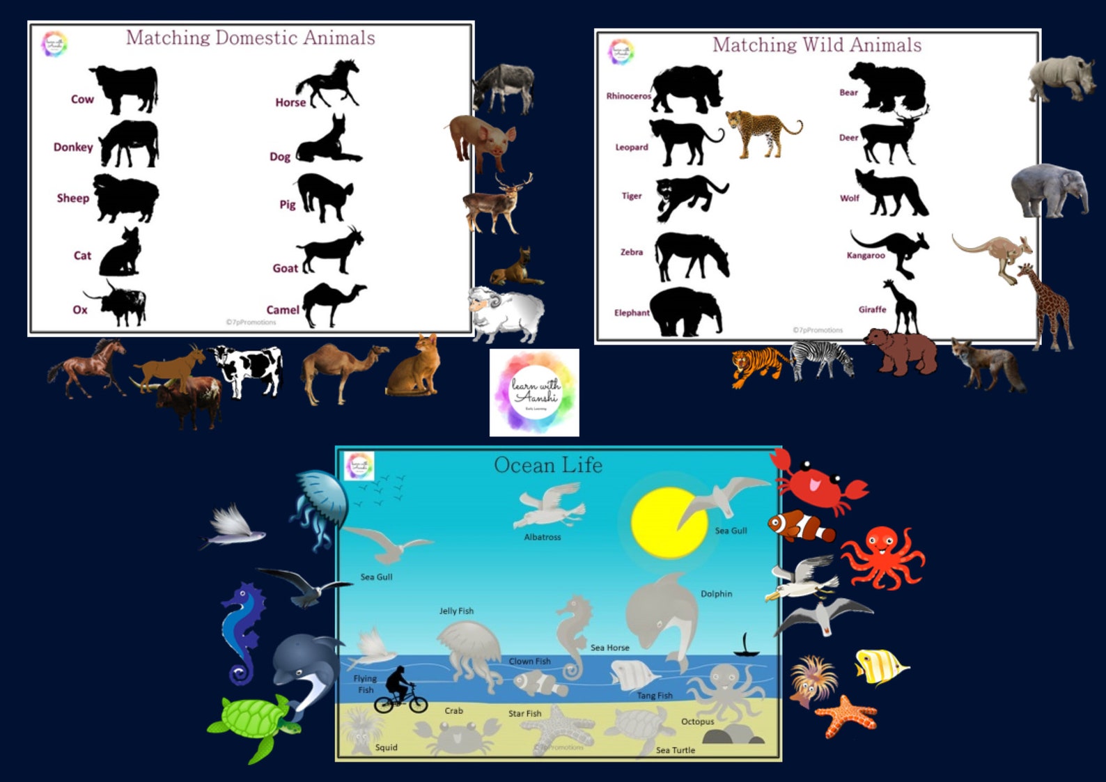 Animal World Shadow Matching Activity Sheets|wild, Domestic and Aquatic ...