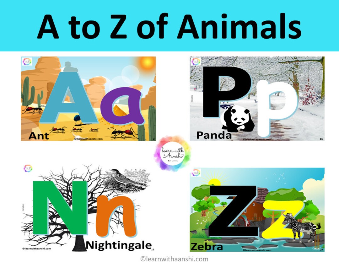 A to Z of Animals 26 Animals From 26 Letters English Alphabet - Etsy