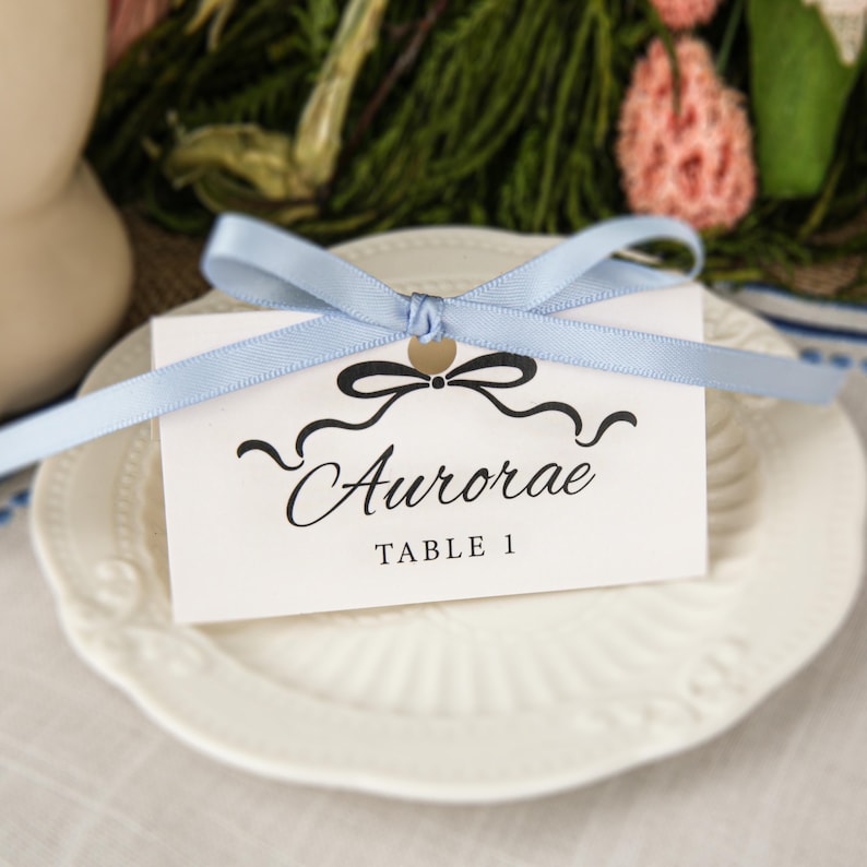 Custom Wedding Place Cards With Different Designs,ribbon Name Cards ...