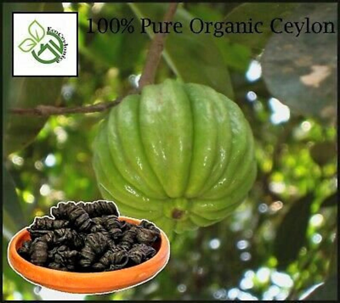 Goraka Fruits Ceylon Goraka Paste Organic-Natural Creams | Etsy