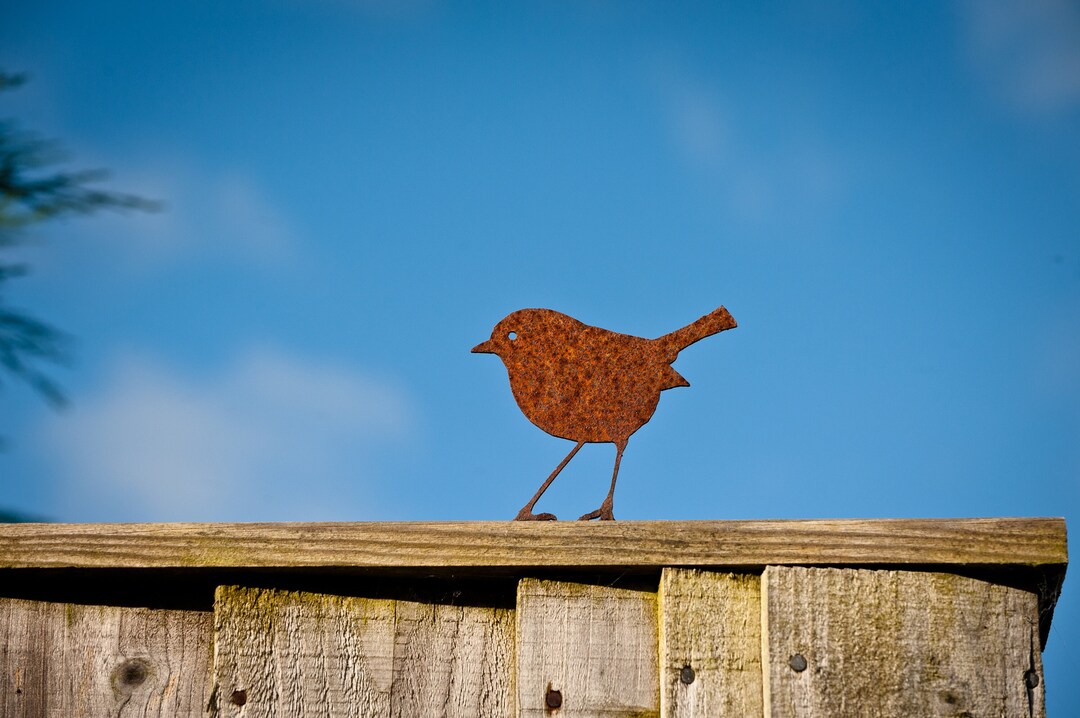 Rusty Robin, Rusty Metal Robin, Rusty Metal Bird, Garden Bird, Garden ...