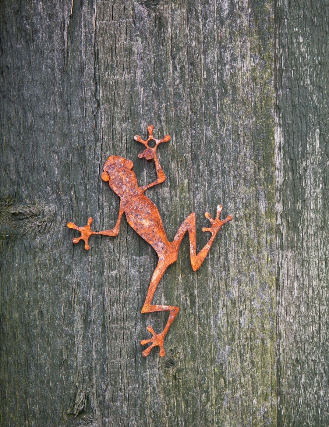 Metal Tree Frog Wall Art, Frog Ornament, Amphibian Wall Art, Fence Art ...