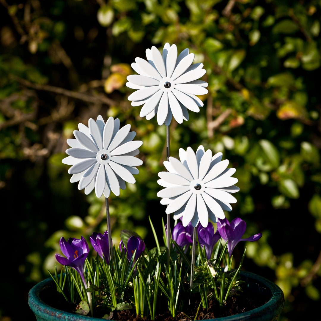 White Daisy Flower Stem, White Flower, Garden Ornament, Indoor ...