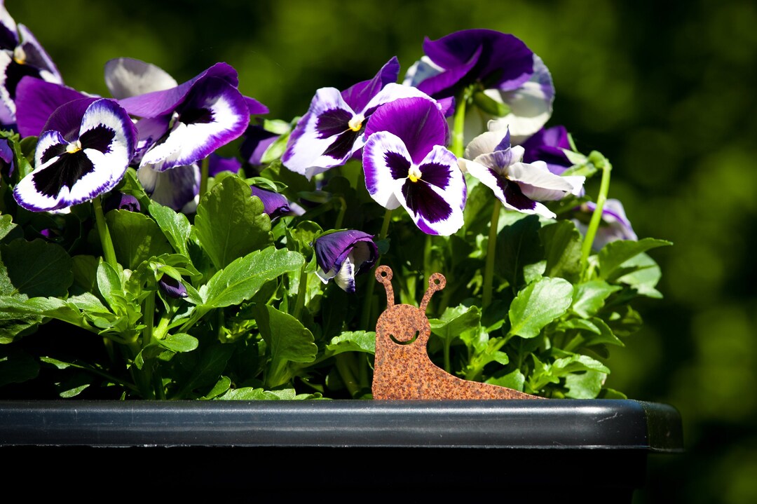 Metal Smiley Slug Plant Pot Ornament, Quirky Garden Art, Ready to Rust ...