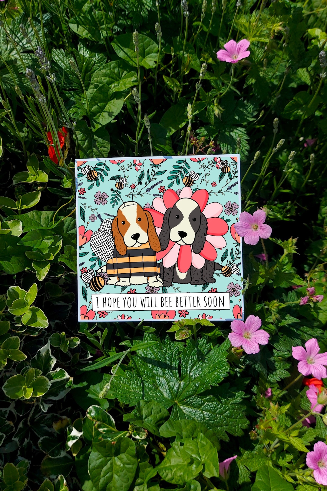 Spaniel Get Well Soon Card Springer Spaniel Cocker Spaniel Get Well ...