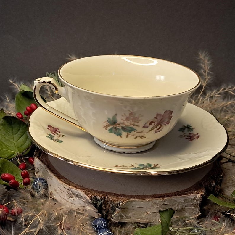 Rare Vintage Dutch China Cup and Saucer Mosa Maastricht With Hibiskus ...