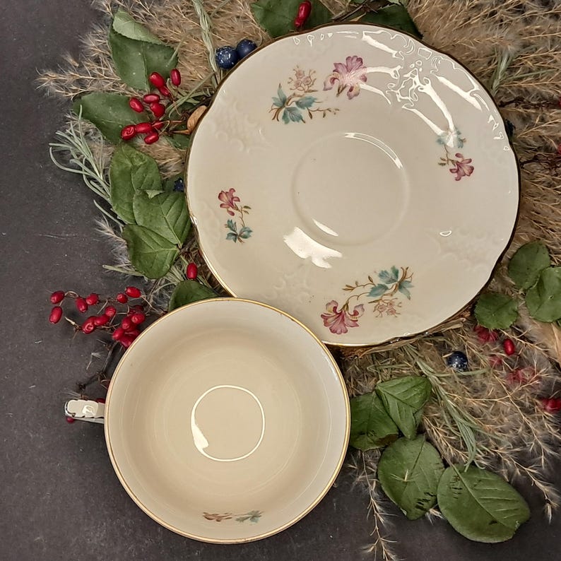 Rare Vintage Dutch China Cup and Saucer Mosa Maastricht With Hibiskus ...