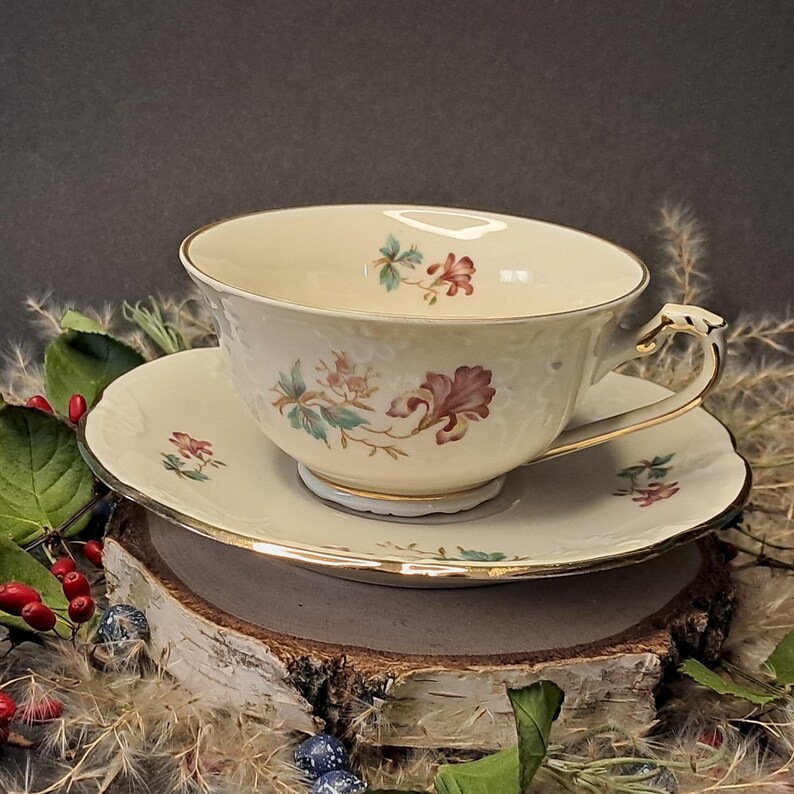 Rare Vintage Dutch China Cup and Saucer Mosa Maastricht With Hibiskus ...