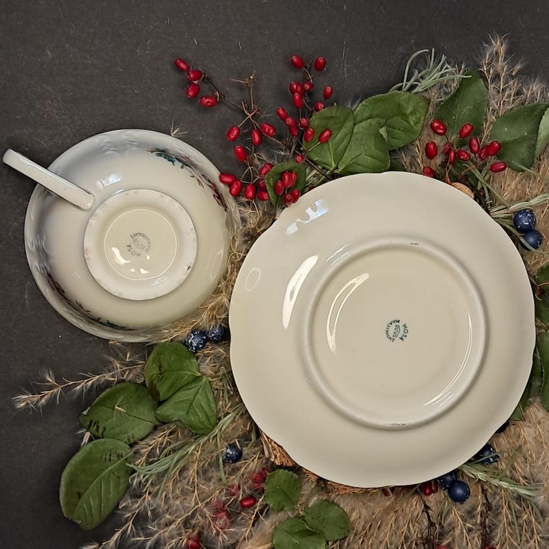 Rare Vintage Dutch China Cup and Saucer Mosa Maastricht With Hibiskus ...