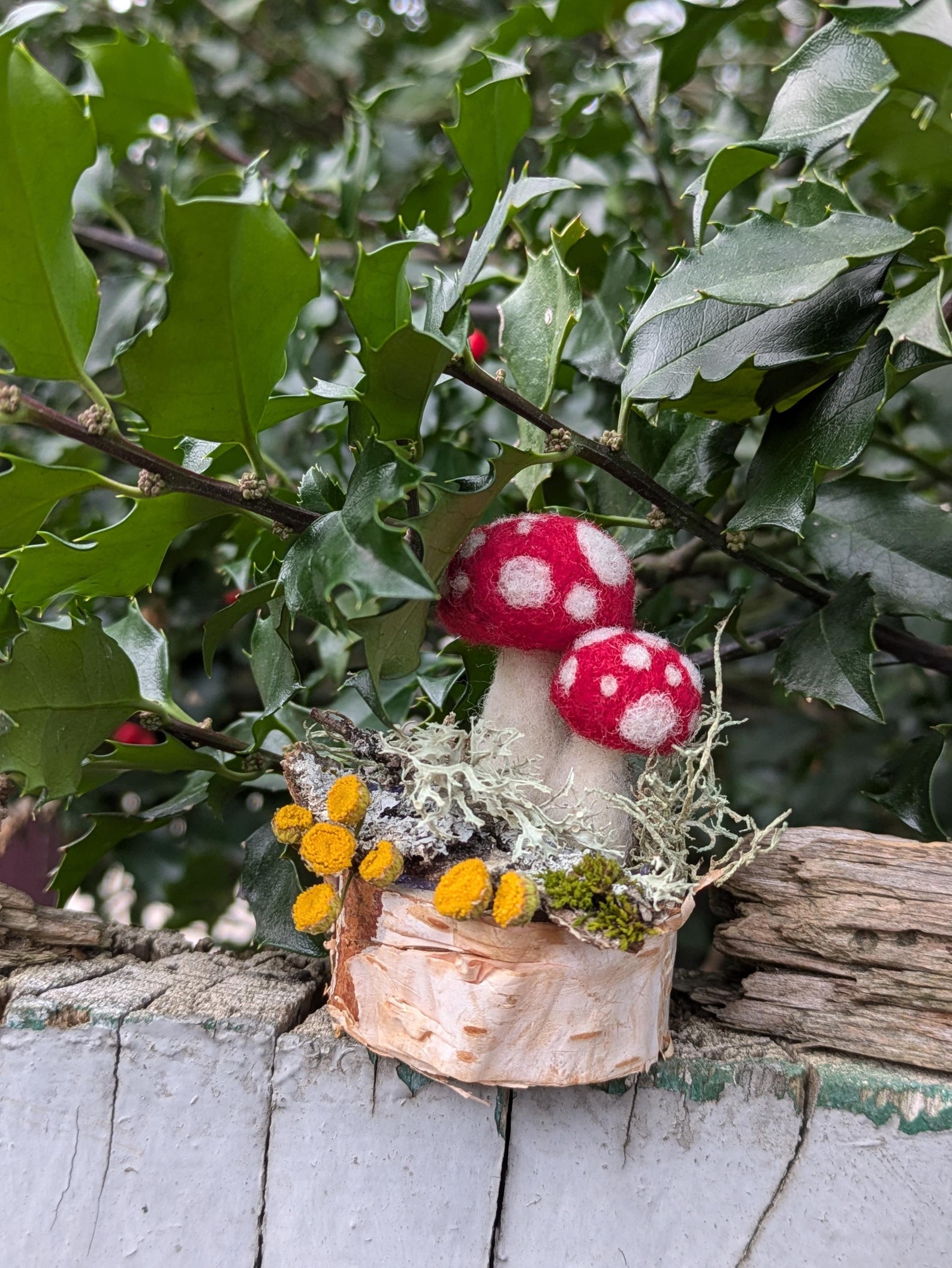 Needle Felted Toadstools on Birch Base With Lichens and Branches ...