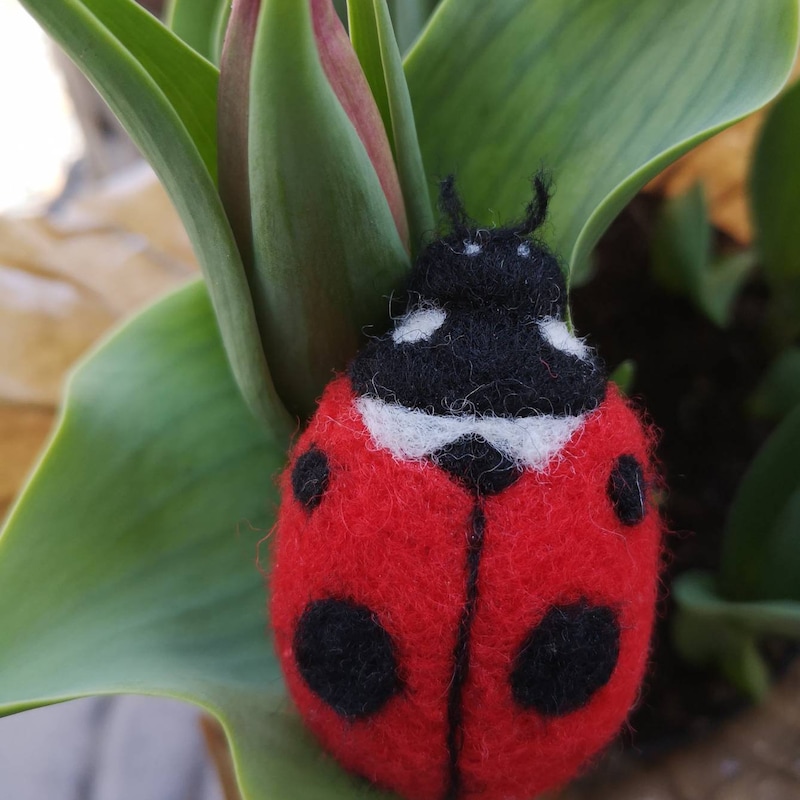 Felt Ladybug - Etsy