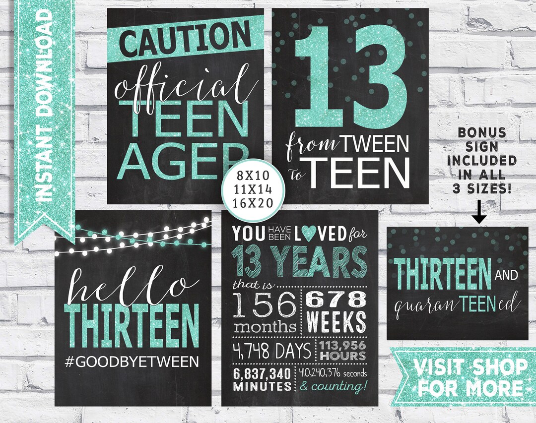 13th Birthday Girl Decorations - 13th Birthday Party Signs Aqua ...