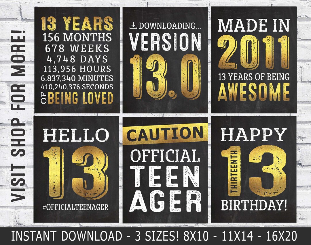 13th Birthday Decorations - 13th Birthday Party Signs - 13th Birthday ...