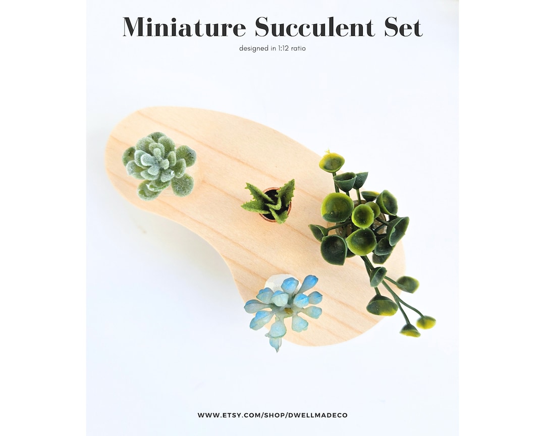 Miniature Plant Set, Miniature Houseplants, Modern Miniatures ...