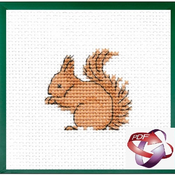 Squirrel Pattern - Etsy