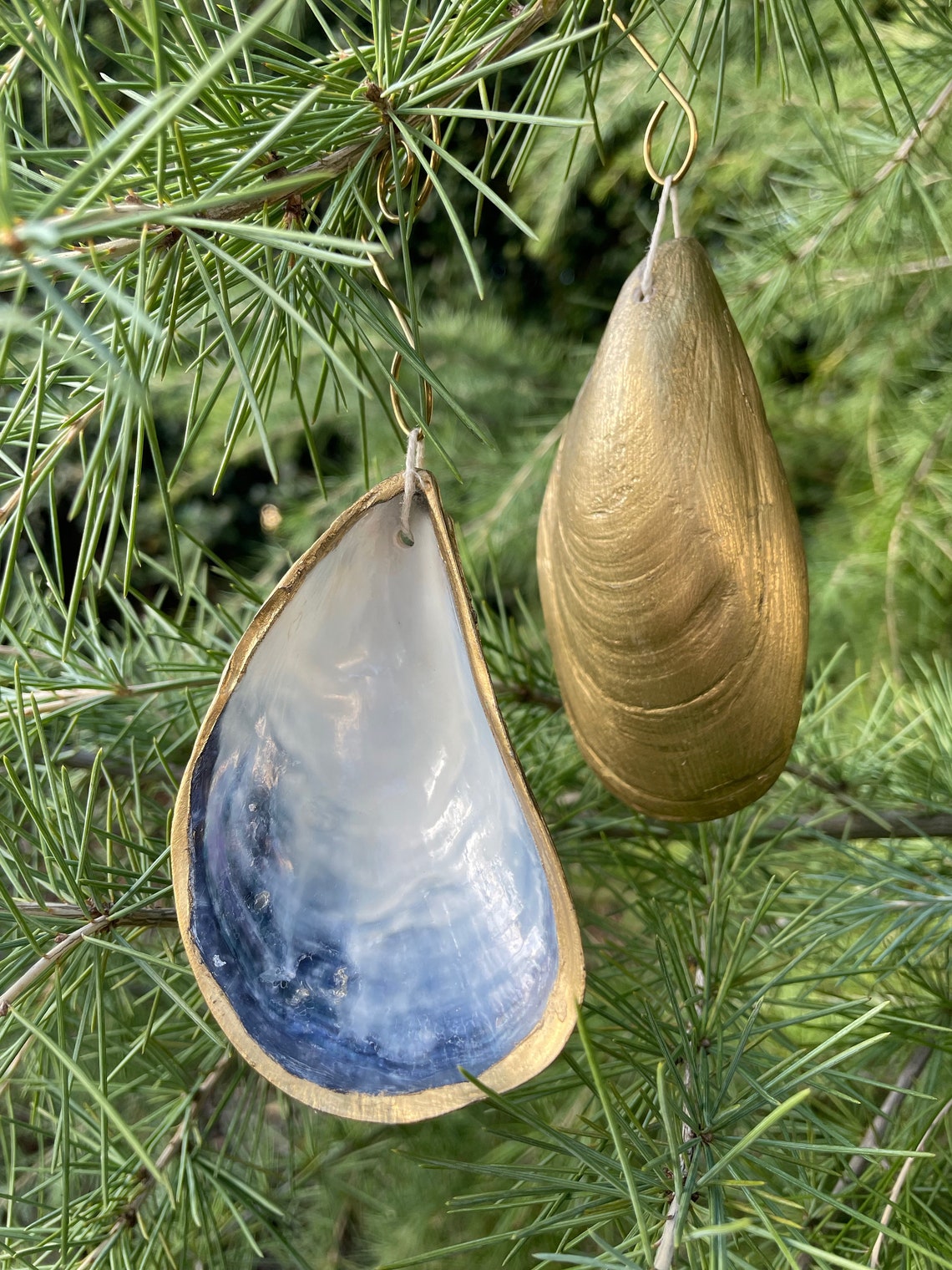 Ocean Muscles Ornaments - Etsy