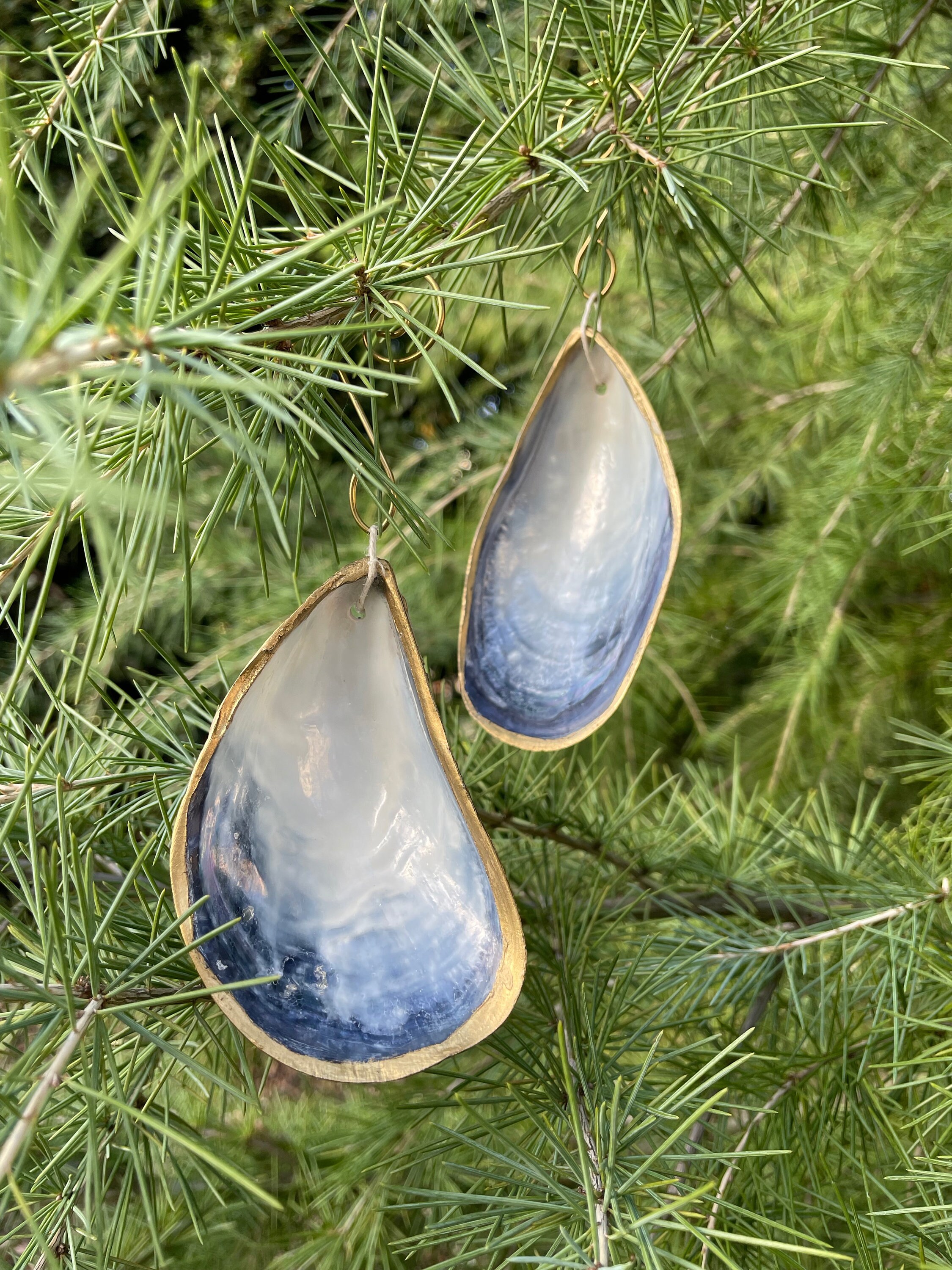 Ocean Muscles Ornaments - Etsy