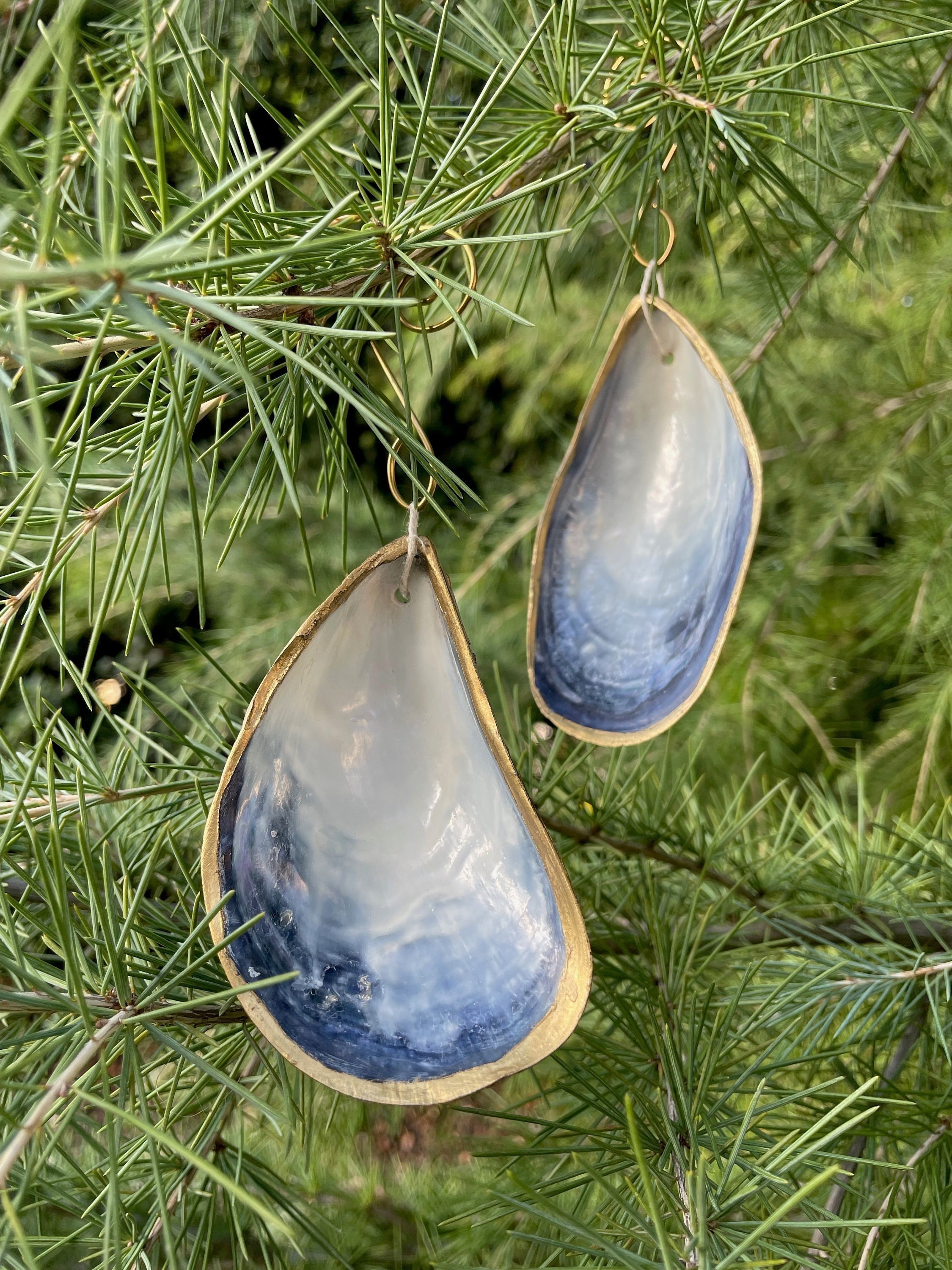 Ocean Muscles Ornaments - Etsy