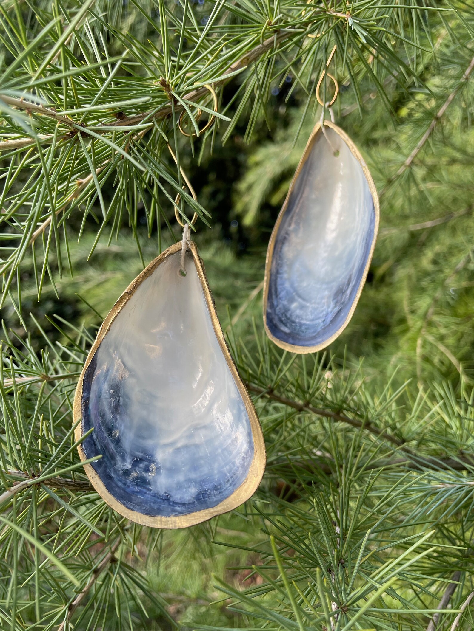 Ocean Muscles Ornaments - Etsy